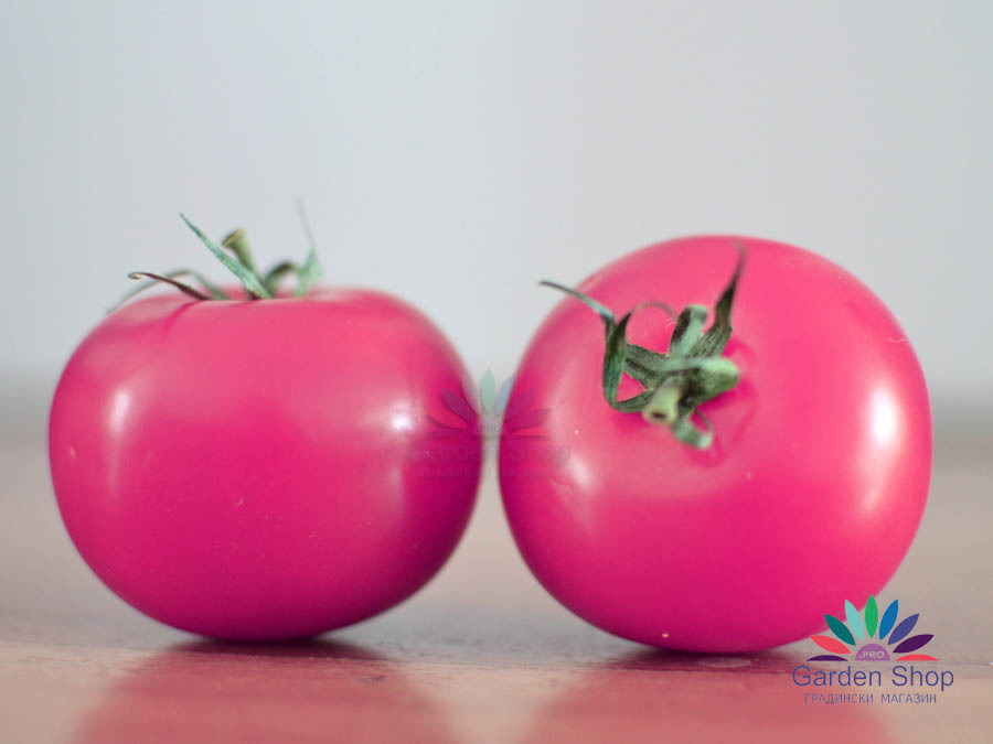 svejo.net | Семена на безколови розови домати за тунели и на открито ...